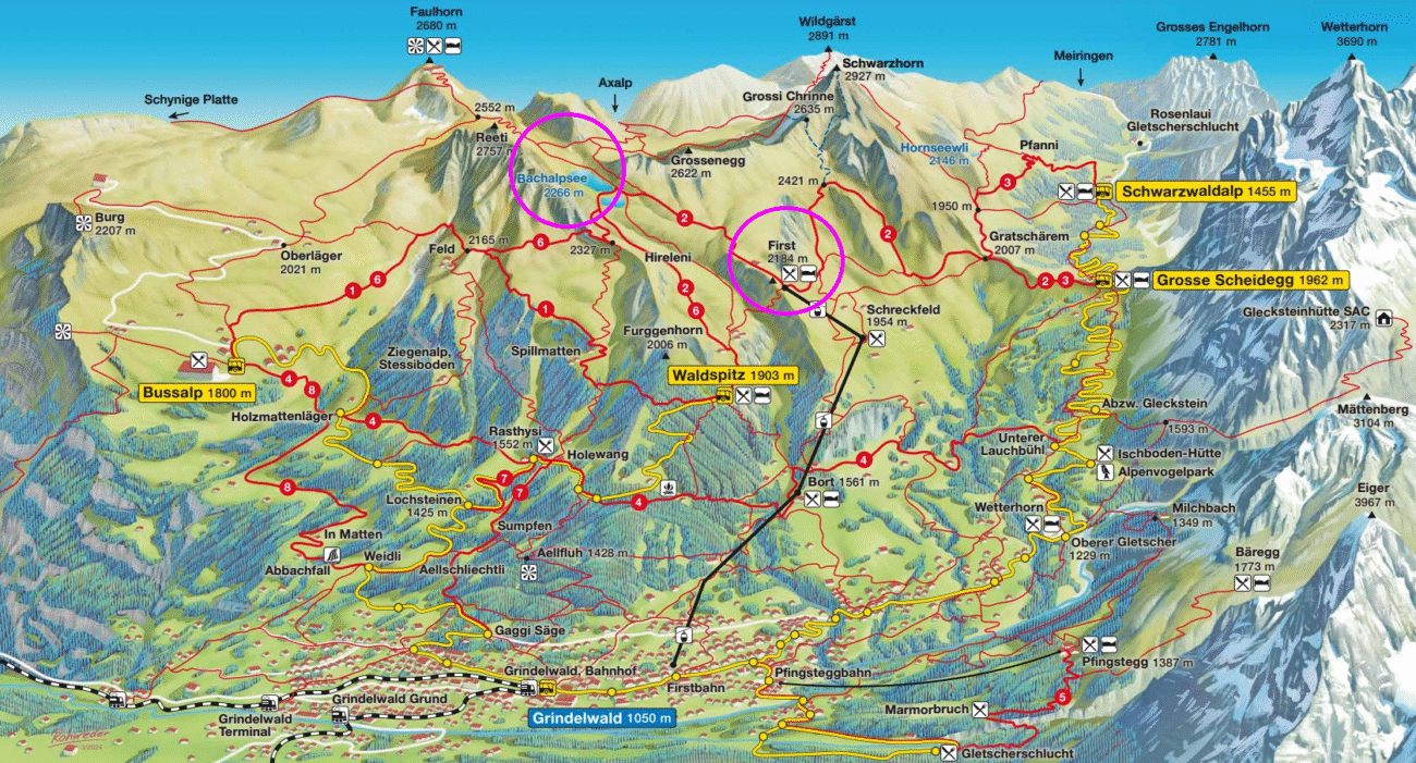 Bachalpsee Lake Hike From Grindelwald: Full Guide & Map